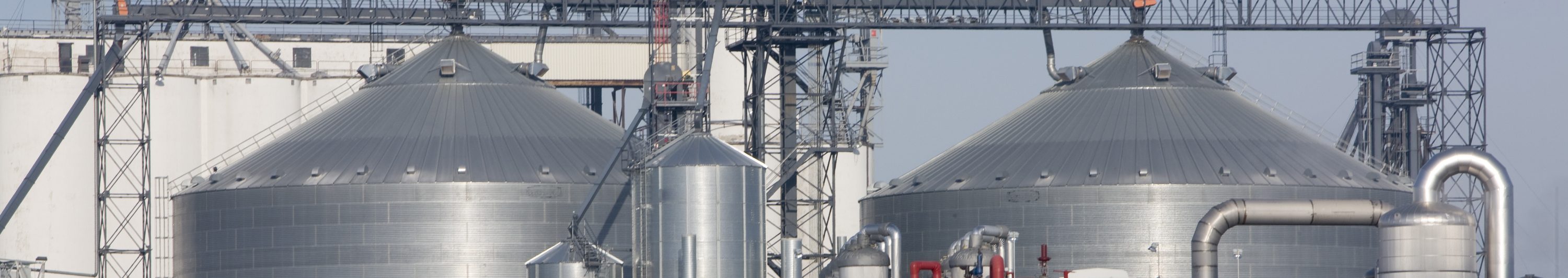 Bulk Processing - IMEG