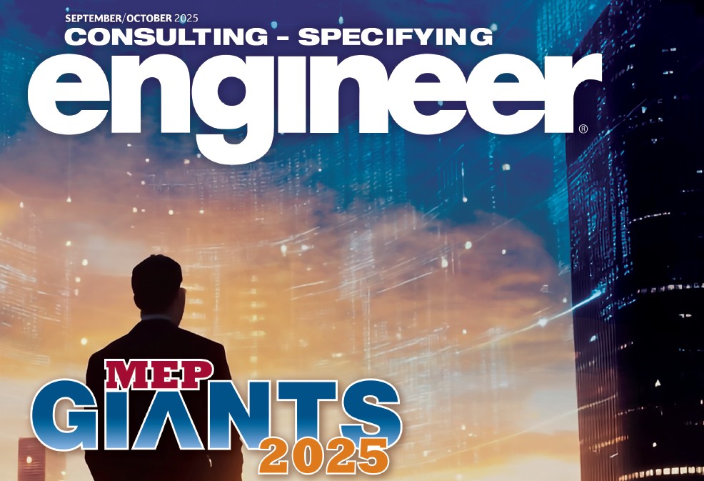 IMEG rises among top 15 C-SE Giants in 2025; most active firm in 2024 ...